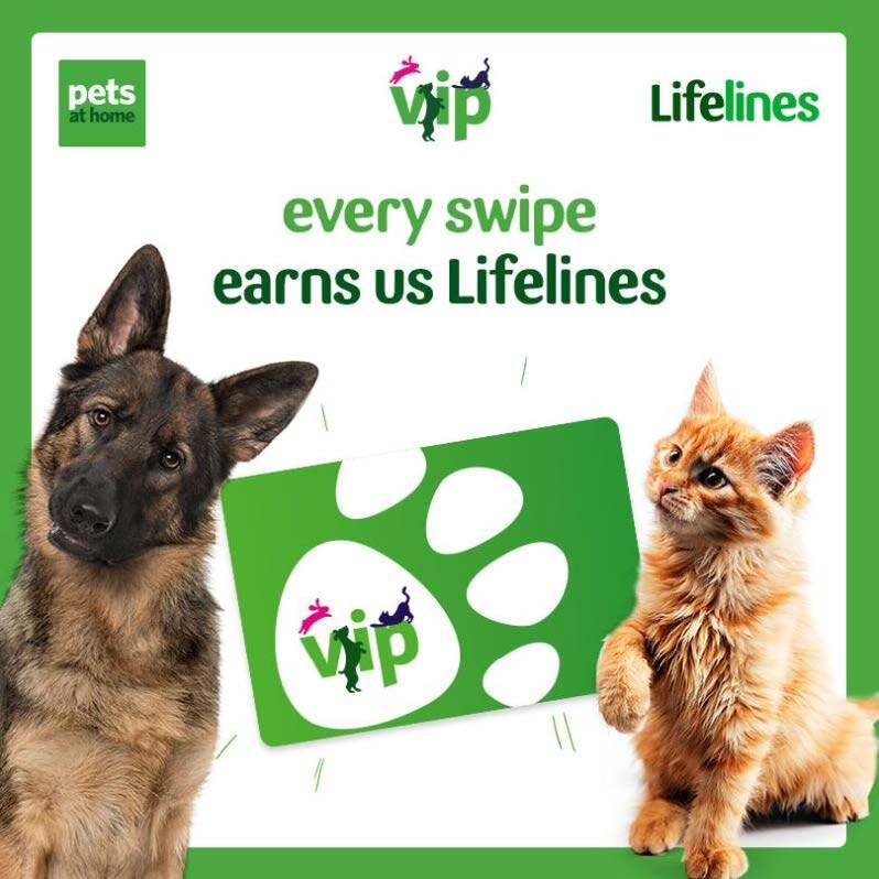 Loyalty Schemes - a Cheat Code in the New Value Equation | Eagle Eye